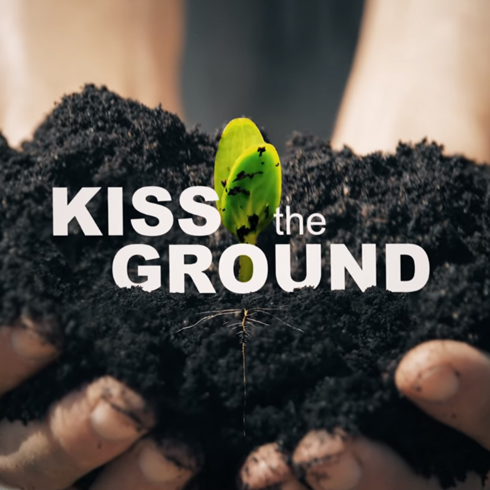 [Media] Kiss the Ground - Pro:aktif